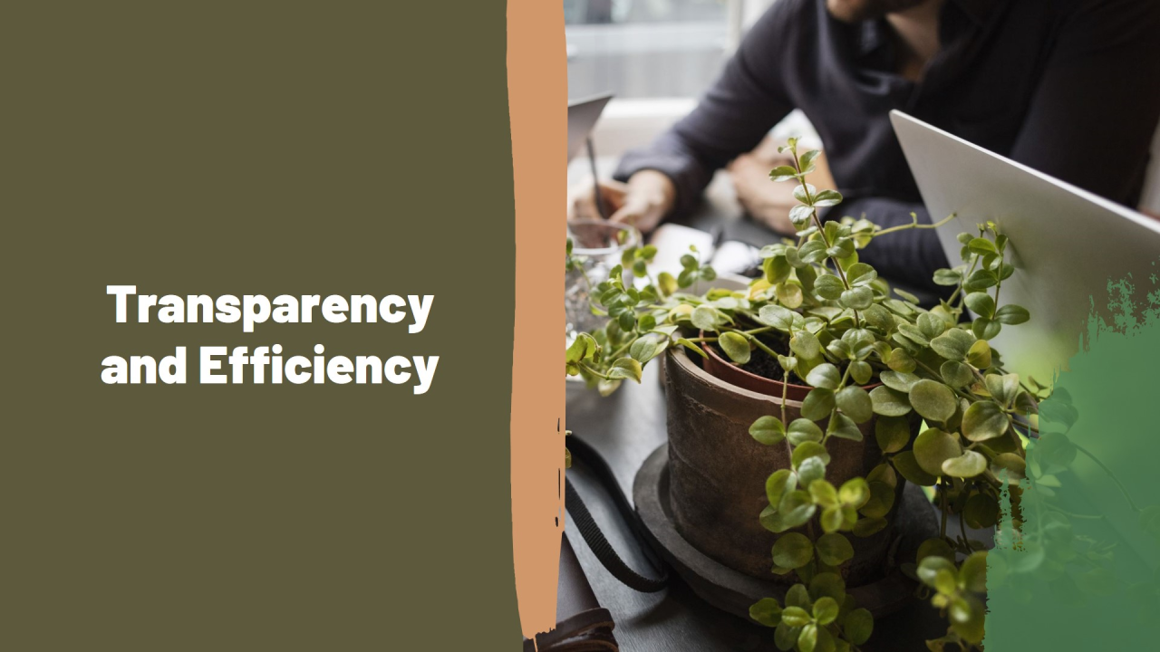 Enhancing Transparency and Efficiency Enhancing Transparency and Efficiency
