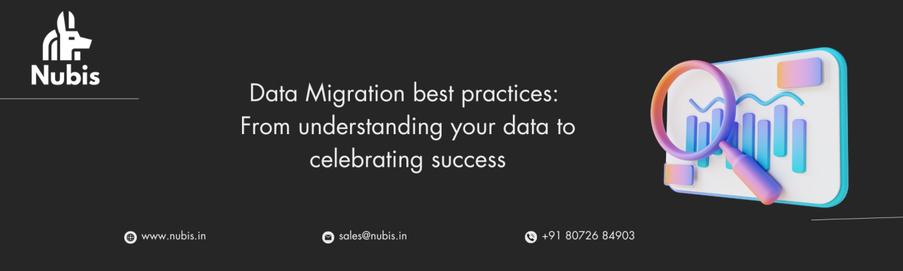 Data Migration Strategies Data Migration Strategies