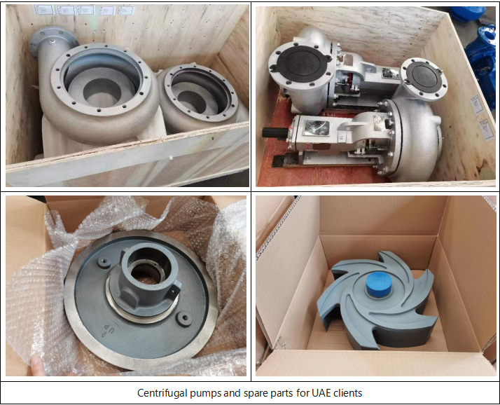 Introduction of the BEYOND’s Centrifugal Pump Introduction of the BEYOND’s Centrifugal Pump