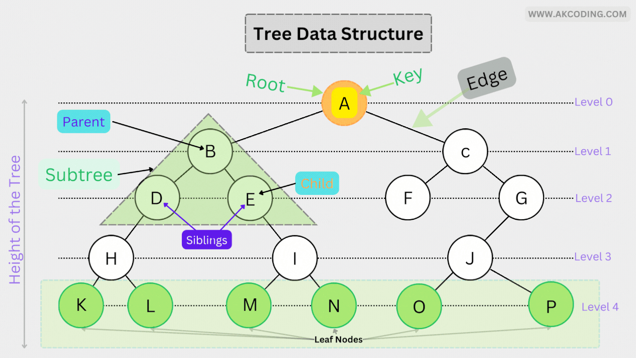 Introduction to Tree Data Structure Introduction to Tree Data Structure