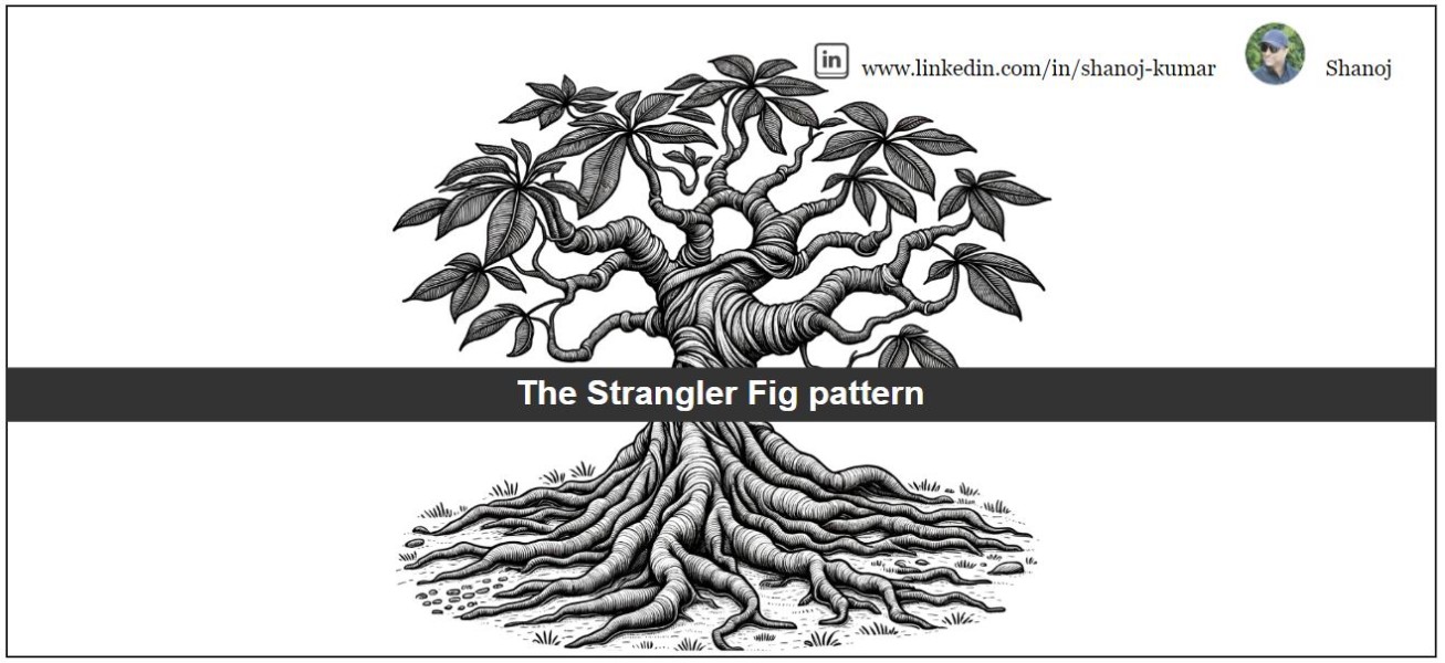 Microservice 101: The Strangler Fig pattern Microservice 101: The Strangler Fig pattern