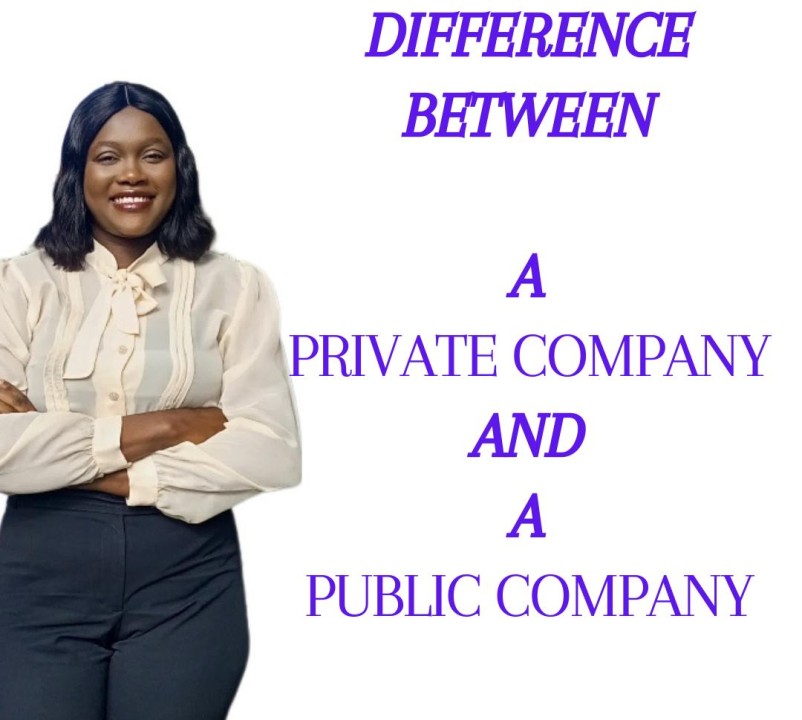 7 DIFFERENCES BETWEEN A PRIVATE COMPANY AND PUBLIC COMPANY 7 DIFFERENCES BETWEEN A PRIVATE COMPANY AND PUBLIC COMPANY