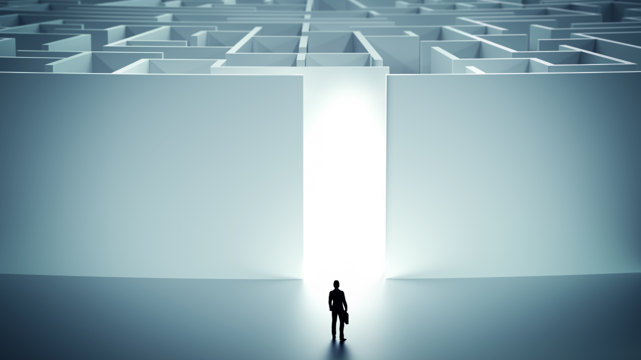 Maximizing ERP Implementation Success Maximizing ERP Implementation Success
