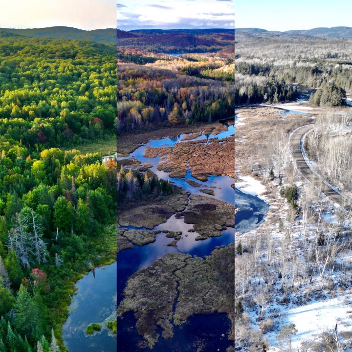 AI for Nature Showcase Harnessing computer vision to monitor nature at ... AI for Nature Showcase Harnessing computer vision to monitor nature at ...