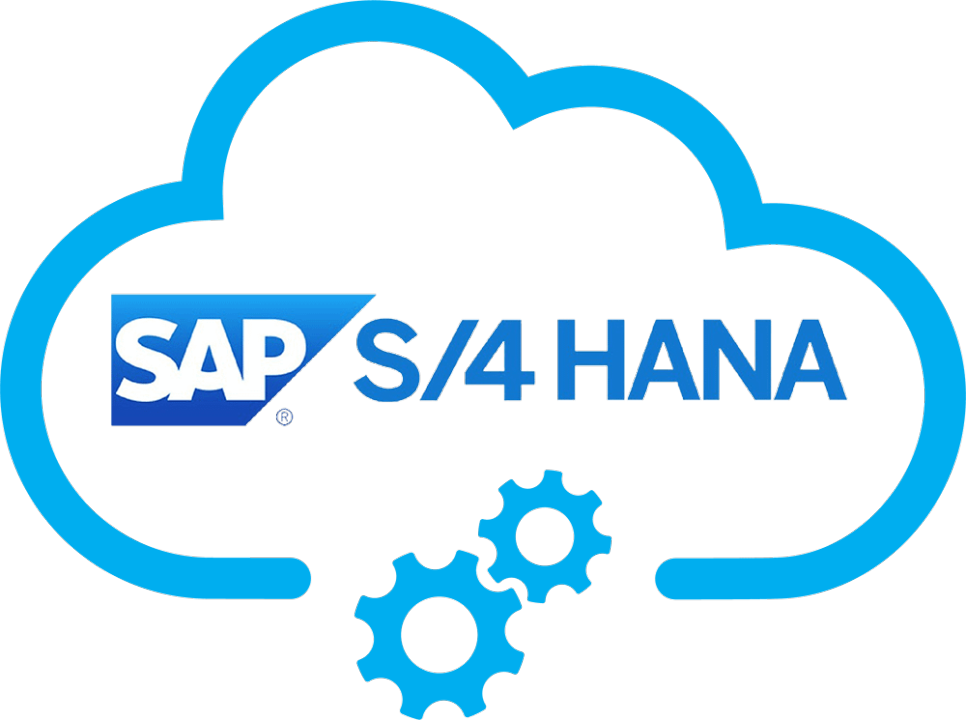 SAP EDI Document Types For S/4 HANA SAP EDI Document Types For S/4 HANA