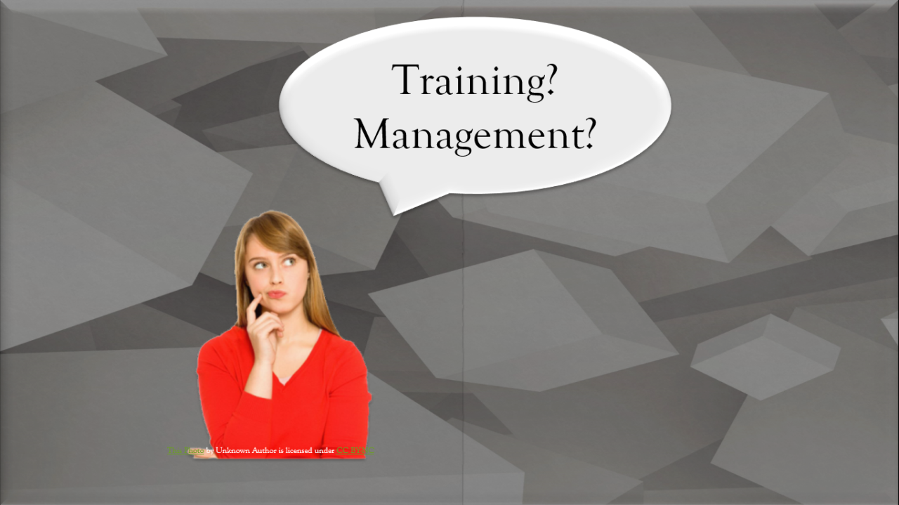 TRAIN AND MANAGE / MANAGE AND TRAIN TRAIN AND MANAGE / MANAGE AND TRAIN