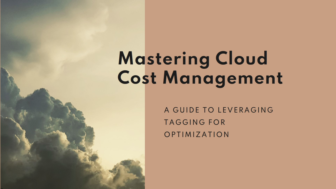 Elevating Cloud Cost Management with Tagging Elevating Cloud Cost Management with Tagging
