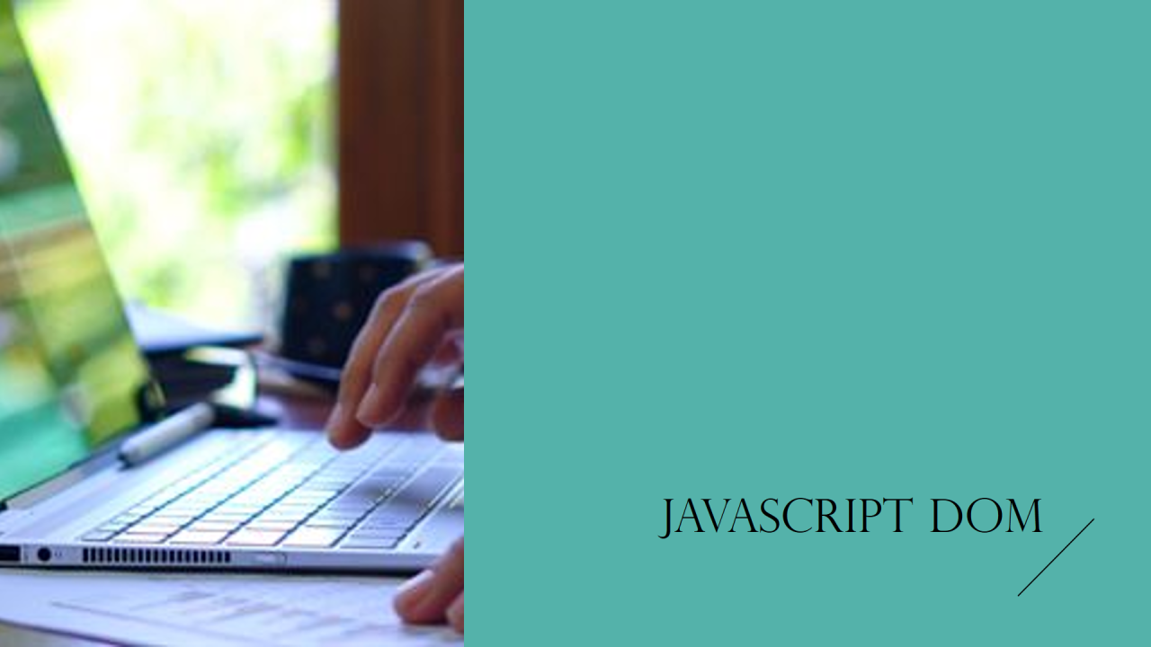 Javascript DOM Javascript DOM