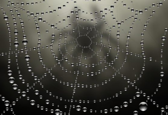 AI, Web Crawlers, and Web Scrapers in Healthcare Claims Processing AI, Web Crawlers, and Web Scrapers in Healthcare Claims Processing