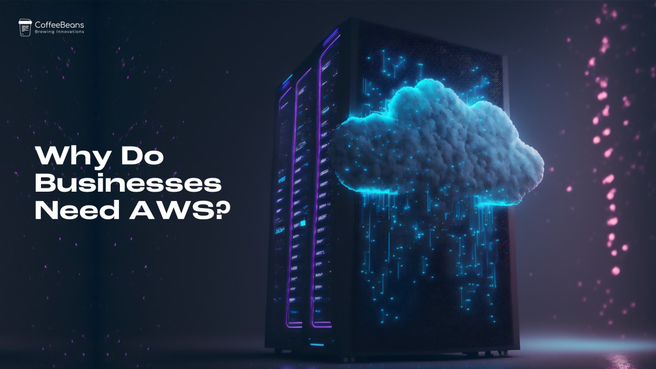 Why Do Businesses Need AWS Why Do Businesses Need AWS