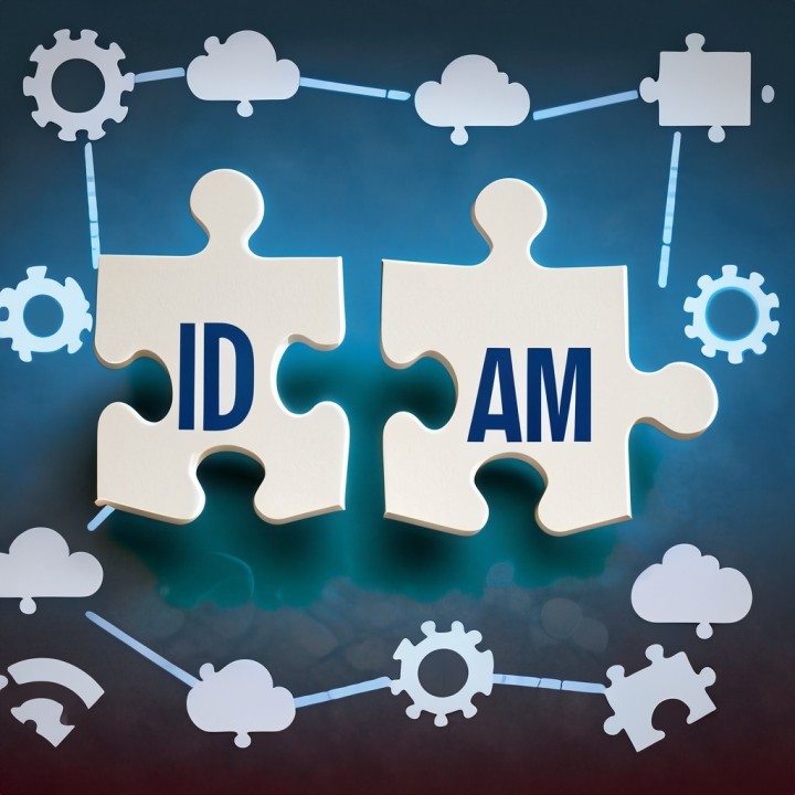 Managing Identity and Access in the Cloud: Embracing a New IAM Managing Identity and Access in the Cloud: Embracing a New IAM