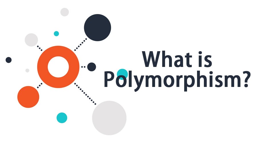 Harnessing the Power of Polymorphism in JavaScript Harnessing the Power of Polymorphism in JavaScript