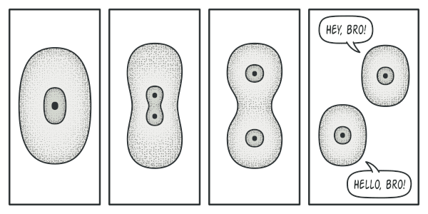 Exploring the Prototype Pattern: Simplifying Object Cloning Exploring the Prototype Pattern: Simplifying Object Cloning