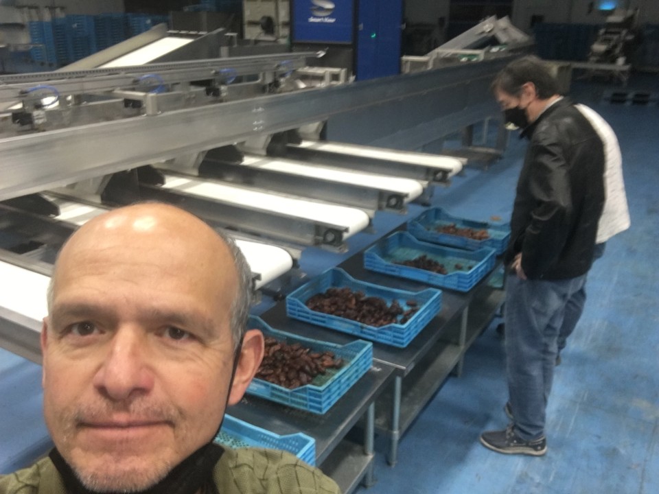 Date sorting machine installation Date sorting machine installation