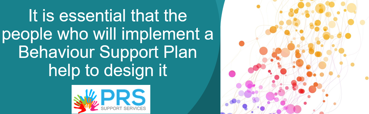 Positive Behaviour Support and Behaviour Support Practitioners Positive Behaviour Support and Behaviour Support Practitioners