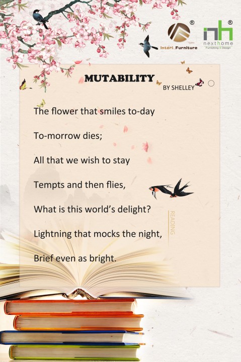Mutability - By Shelley Mutability - By Shelley