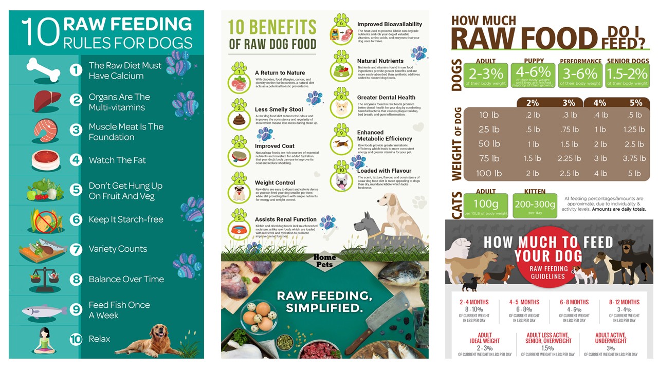 What Are The Benefits Of A Raw Food Diet For Dogs What Are The Benefits Of A Raw Food Diet For Dogs