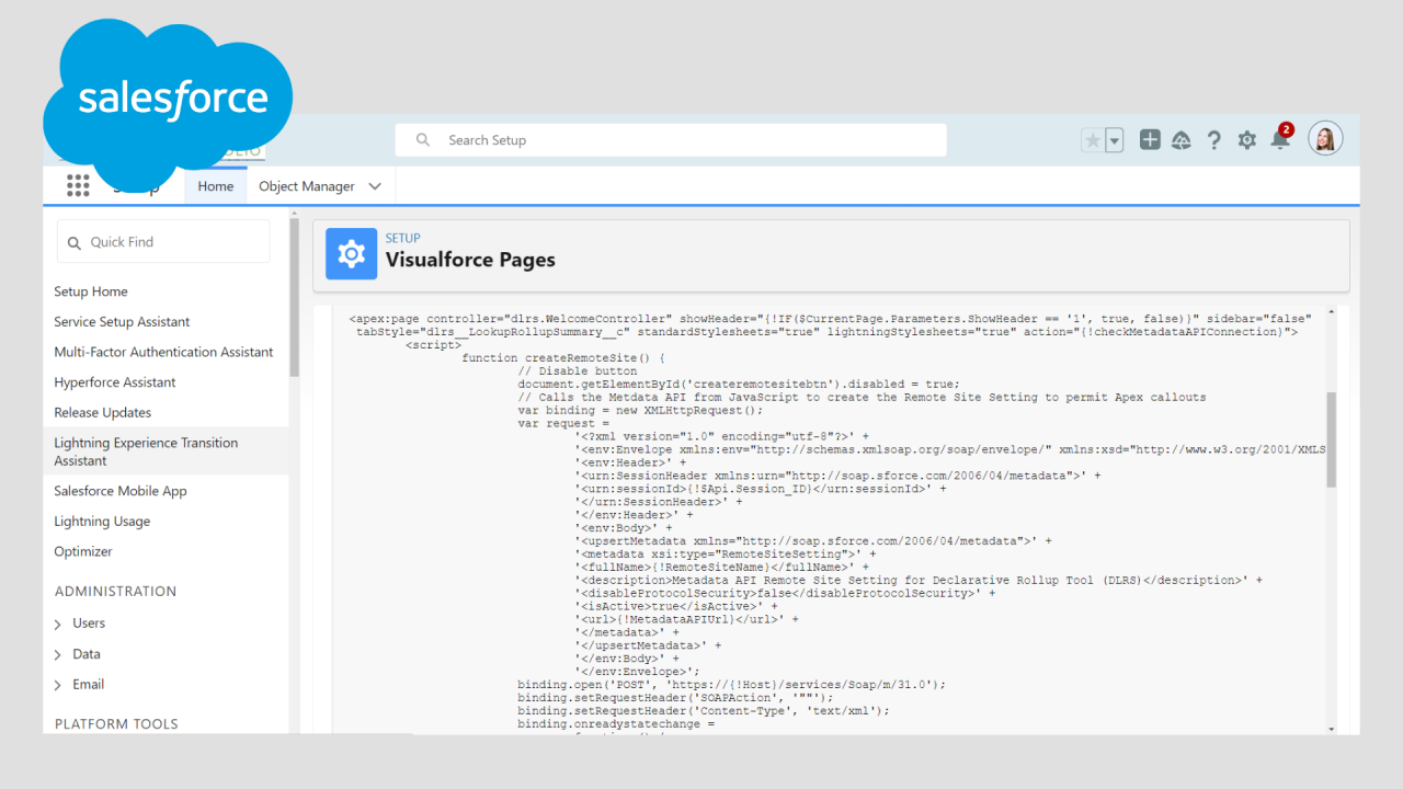 Visualforce Pages: Designing Custom User Interfaces Visualforce Pages: Designing Custom User Interfaces
