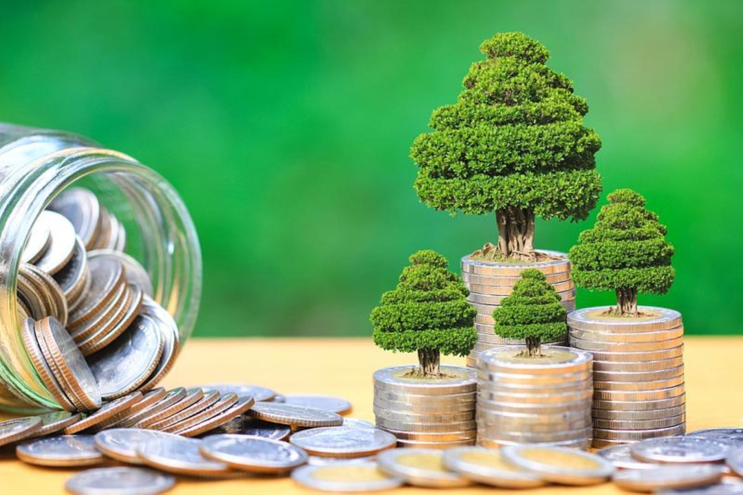 Empowering Minds, Transforming Futures: IBBPLC's Impact on Financial ... Empowering Minds, Transforming Futures: IBBPLC's Impact on Financial ...