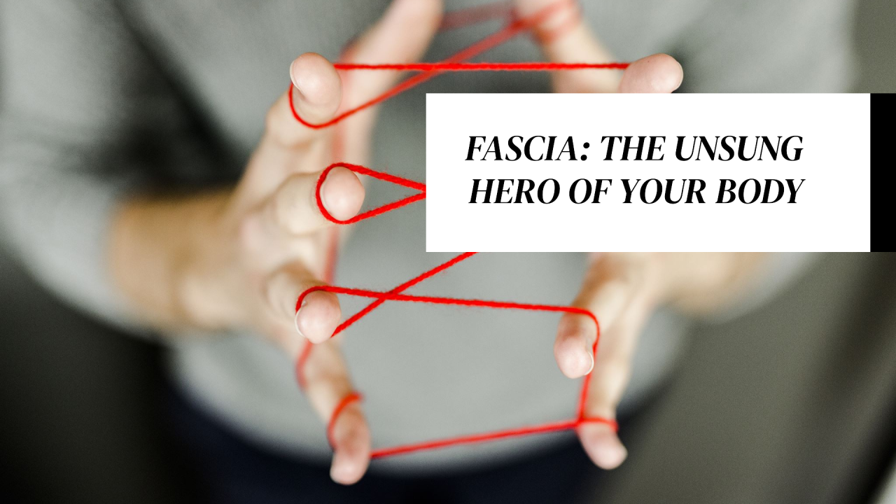 Demystifying Fascia: Unveiling Its Vital Role in Human Anatomy Demystifying Fascia: Unveiling Its Vital Role in Human Anatomy