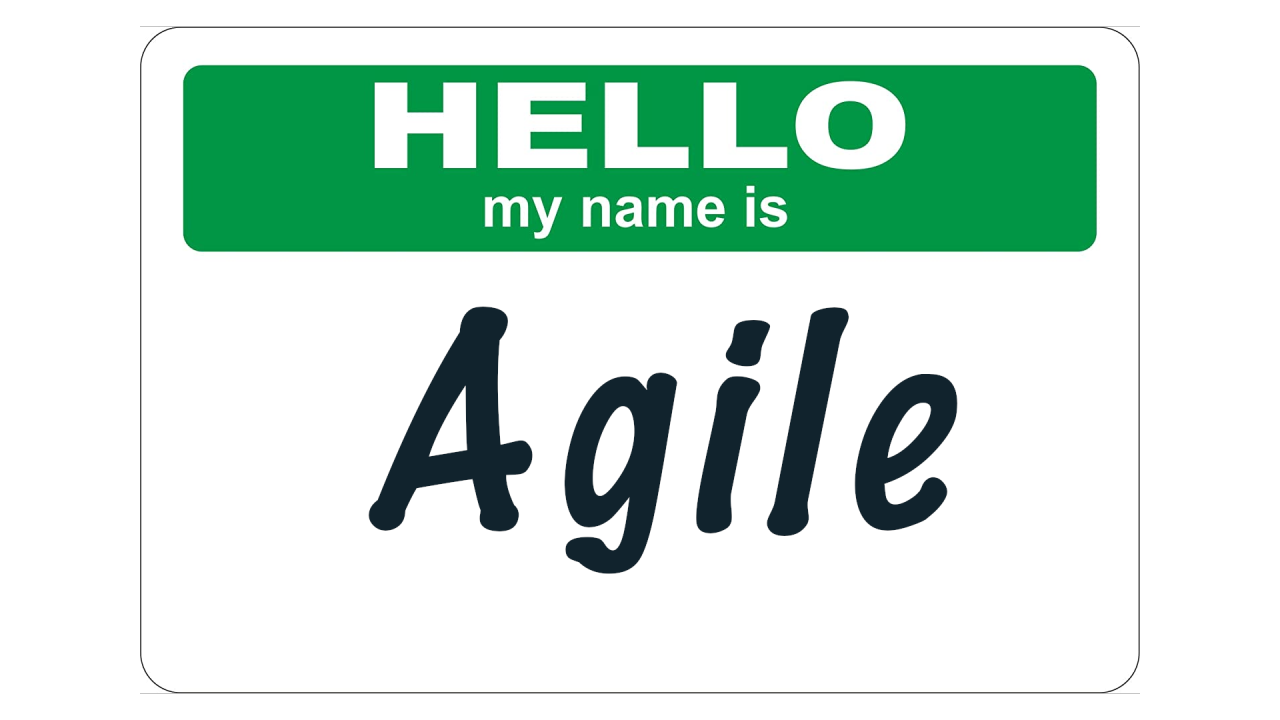 Agile vs Agile Frameworks Agile vs Agile Frameworks