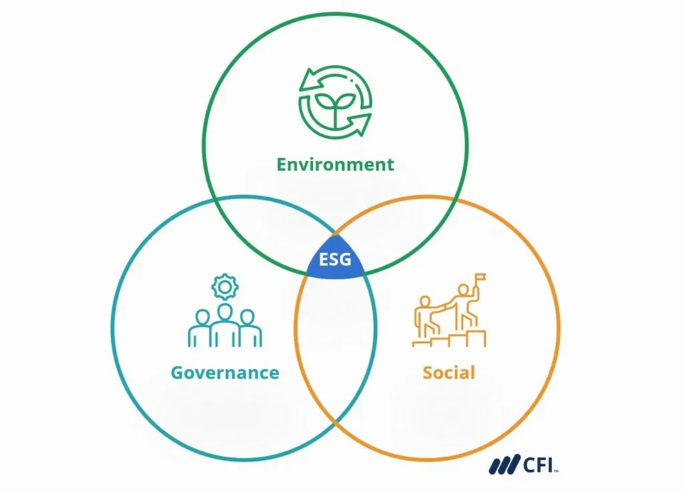 Understanding ESG: An Introduction Understanding ESG: An Introduction