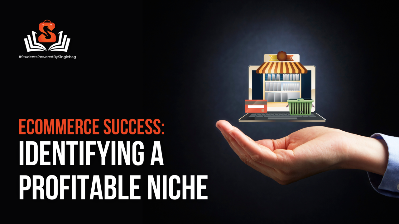 Ecommerce Success: Identifying a Profitable Niche Ecommerce Success: Identifying a Profitable Niche