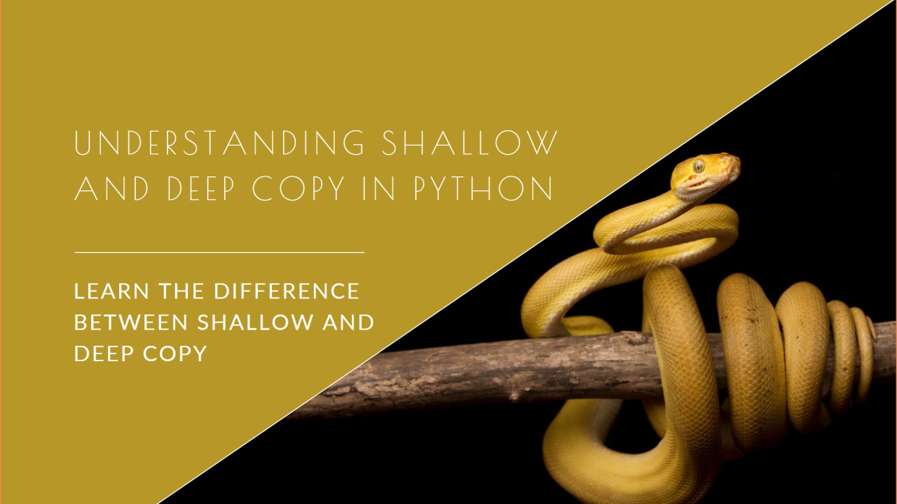 Shallow copy VS Deep copy in Python Shallow copy VS Deep copy in Python