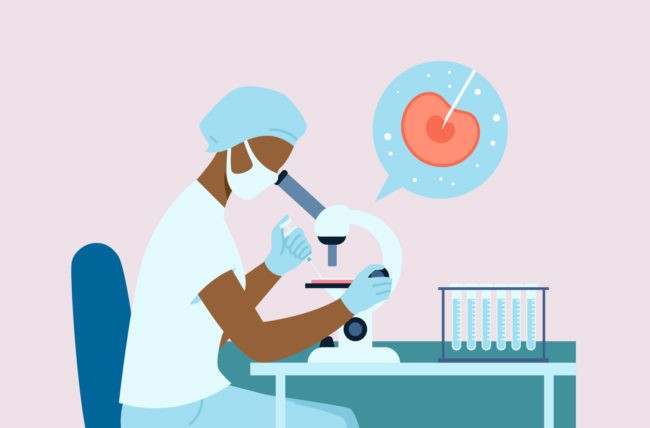 In Vitro Fertilization (IVF) Market - Forecast(2023 - 2028) In Vitro Fertilization (IVF) Market - Forecast(2023 - 2028)