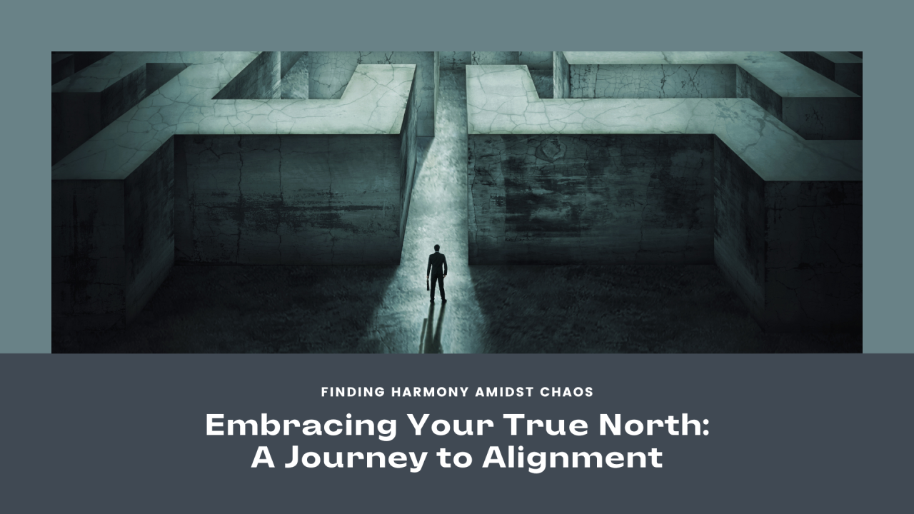 Navigating the Chaos: Aligning Your Values with Collective Consciousness Navigating the Chaos: Aligning Your Values with Collective Consciousness