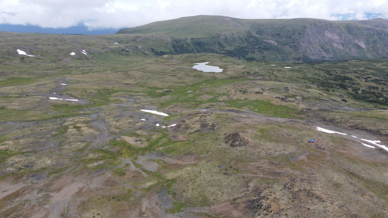 BENCHMARK METALS AND THESIS GOLD ANNOUNCE MERGER TO CREATE PREMIER ... BENCHMARK METALS AND THESIS GOLD ANNOUNCE MERGER TO CREATE PREMIER ...