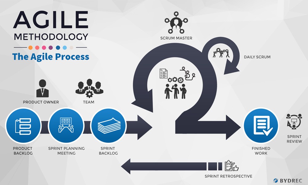 Best Agile Practices in the Software Industry Best Agile Practices in the Software Industry