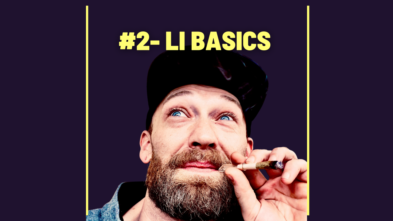 LinkedIn Basics LinkedIn Basics