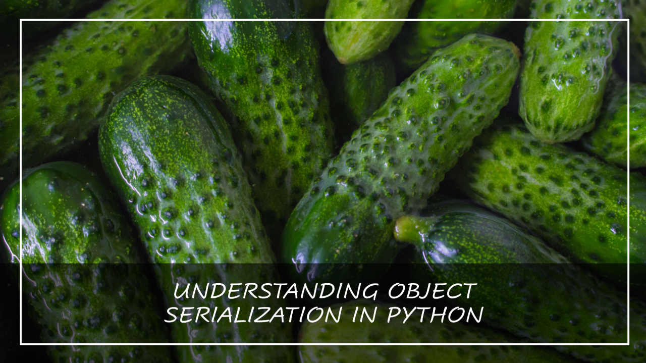 Understanding Object Serialization in Python Understanding Object Serialization in Python
