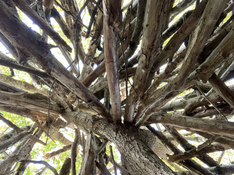 Building resilient systems Building resilient systems