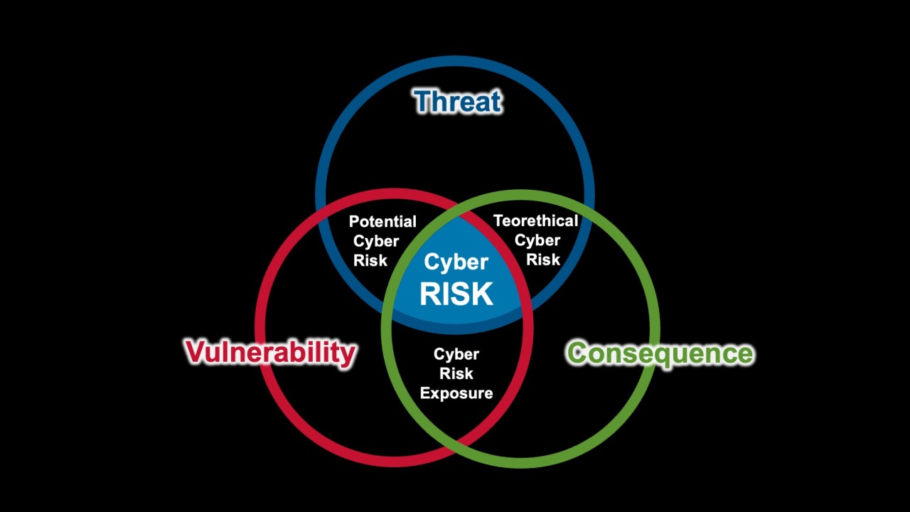 Decoding Cyber Risk: A Visual Representation Decoding Cyber Risk: A Visual Representation