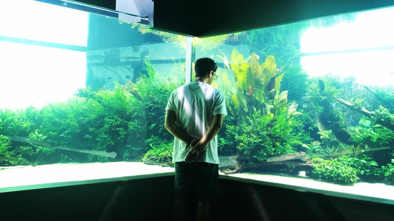 Agile Leadership: Navigating Scrum Teams and Aquascape Aquariums Agile Leadership: Navigating Scrum Teams and Aquascape Aquariums