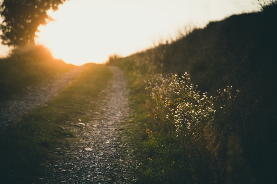 Five steps to navigating the path less trodden Five steps to navigating the path less trodden