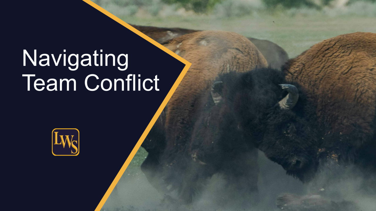 Navigating Team Conflict: Strategies for Healthy Disagreements Navigating Team Conflict: Strategies for Healthy Disagreements