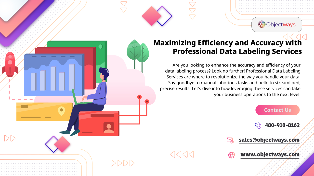 Maximizing Efficiency and Accuracy with Professional Data Labeling Services Maximizing Efficiency and Accuracy with Professional Data Labeling Services