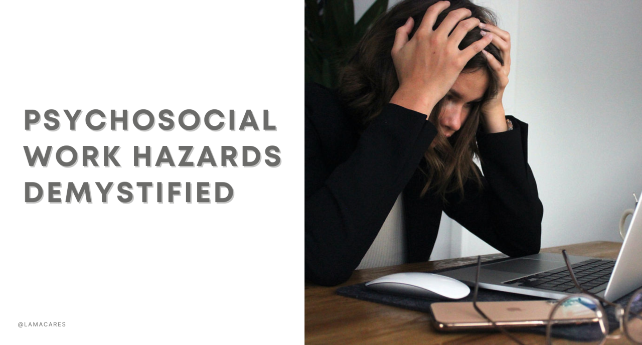 Psychosocial Work Hazards Demystified Psychosocial Work Hazards Demystified
