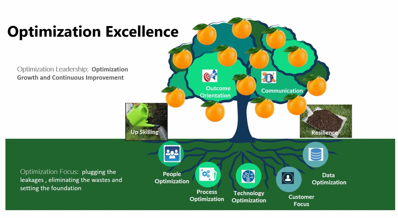 Unleashing Optimization Excellence Unleashing Optimization Excellence