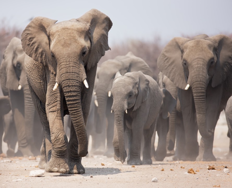 Enhancing Database Performance: PostgreSQL 16's SIMD Technology Impact Enhancing Database Performance: PostgreSQL 16's SIMD Technology Impact