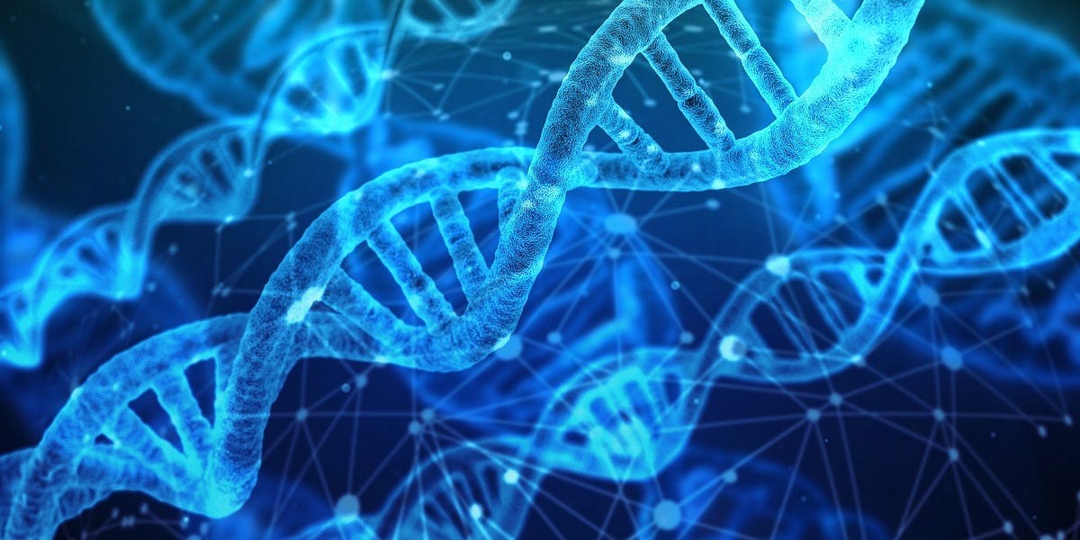 An Introduction to Genetic Algorithm An Introduction to Genetic Algorithm
