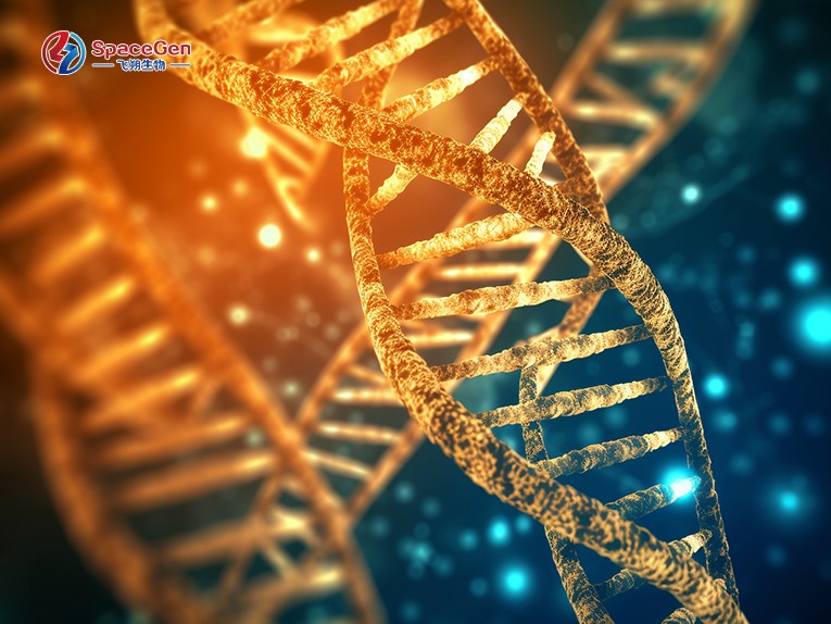 Overview on Immunotherapy Biomarkers Overview on Immunotherapy Biomarkers