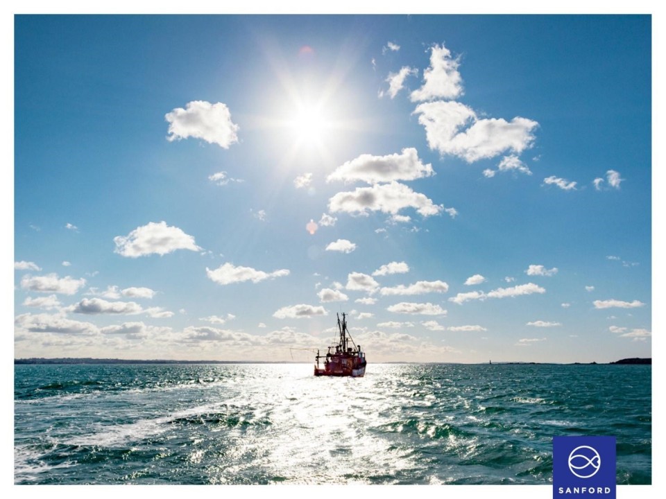 Navigating ERP and Digital Transformation Navigating ERP and Digital Transformation