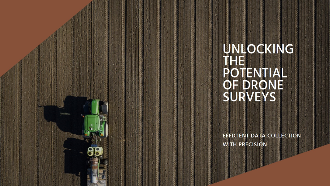 The Power of Precision: Unlocking the Potential of Drone Surveys for ... The Power of Precision: Unlocking the Potential of Drone Surveys for ...