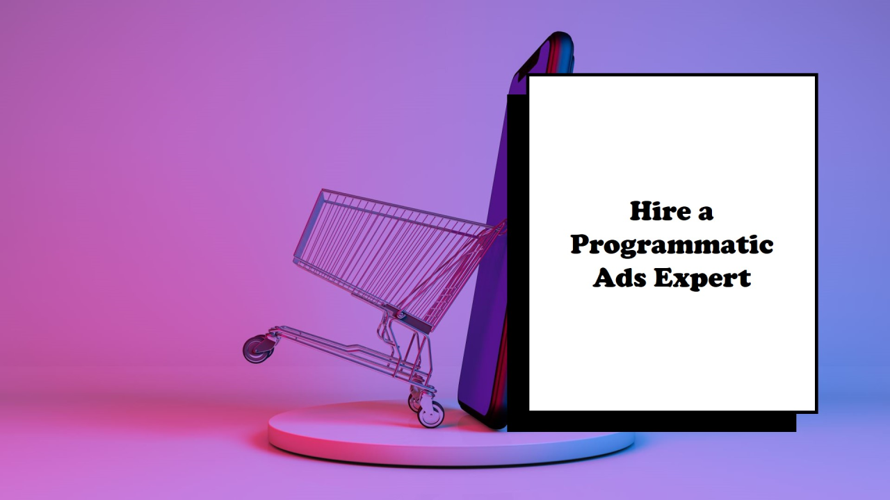 Job Title: Programmatic Ads Expert Job Title: Programmatic Ads Expert