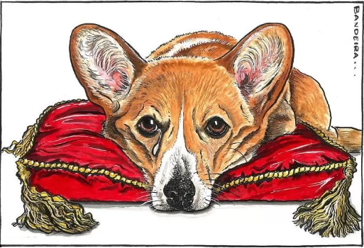 Grieving Corgi Grieving Corgi