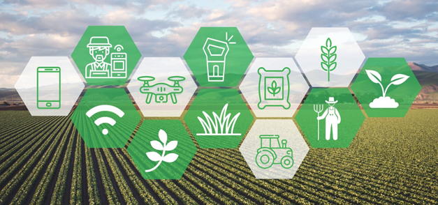 Best Practices with Precision Farming to Enhance the Yield of Paddy and ... Best Practices with Precision Farming to Enhance the Yield of Paddy and ...